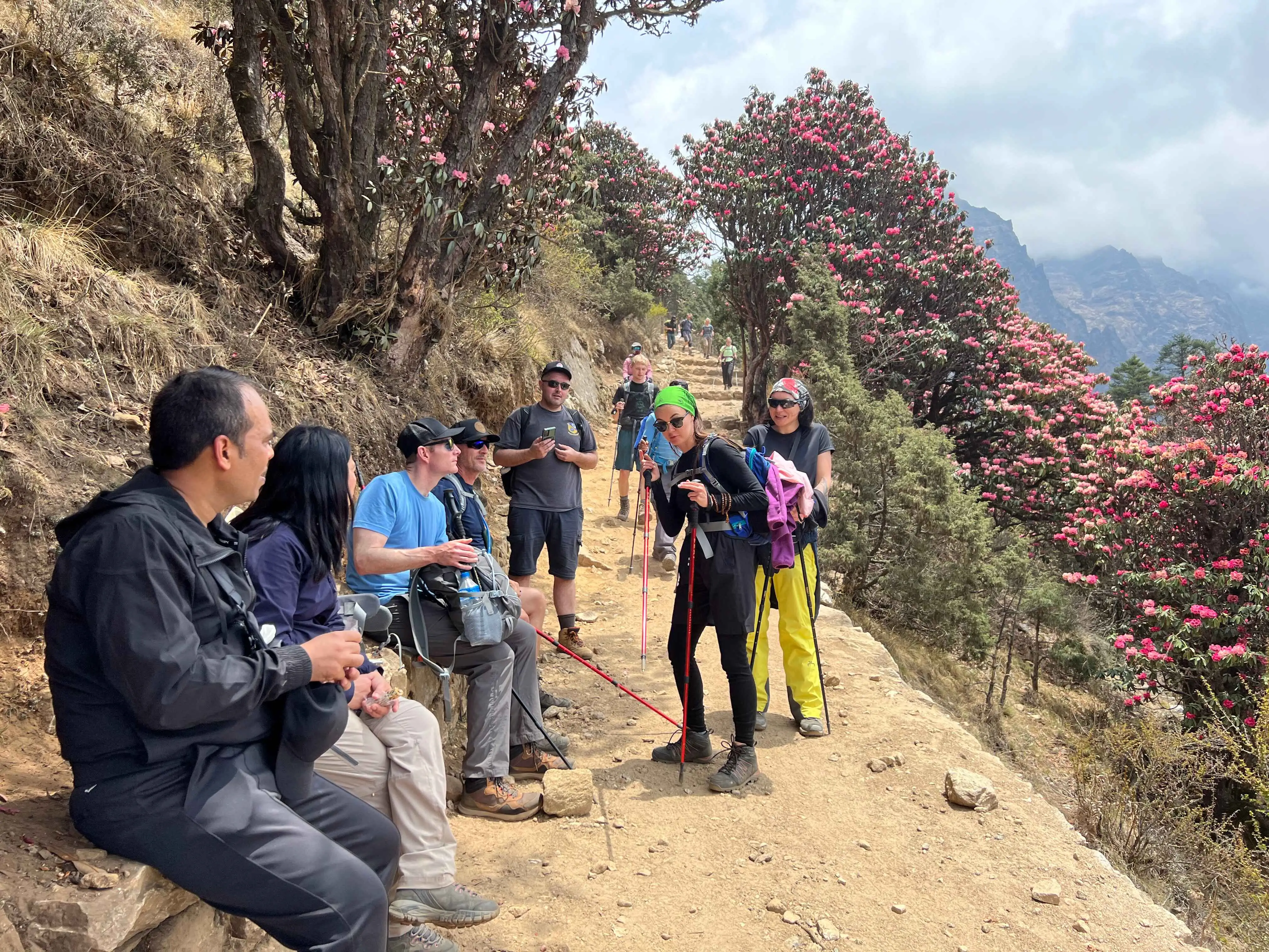 Everest Base Camp Trek in May: The Complete Guide on Trekking